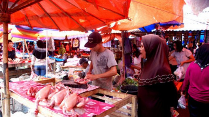 Persediaan Berkurang, Harga Ayam Broiler Naik